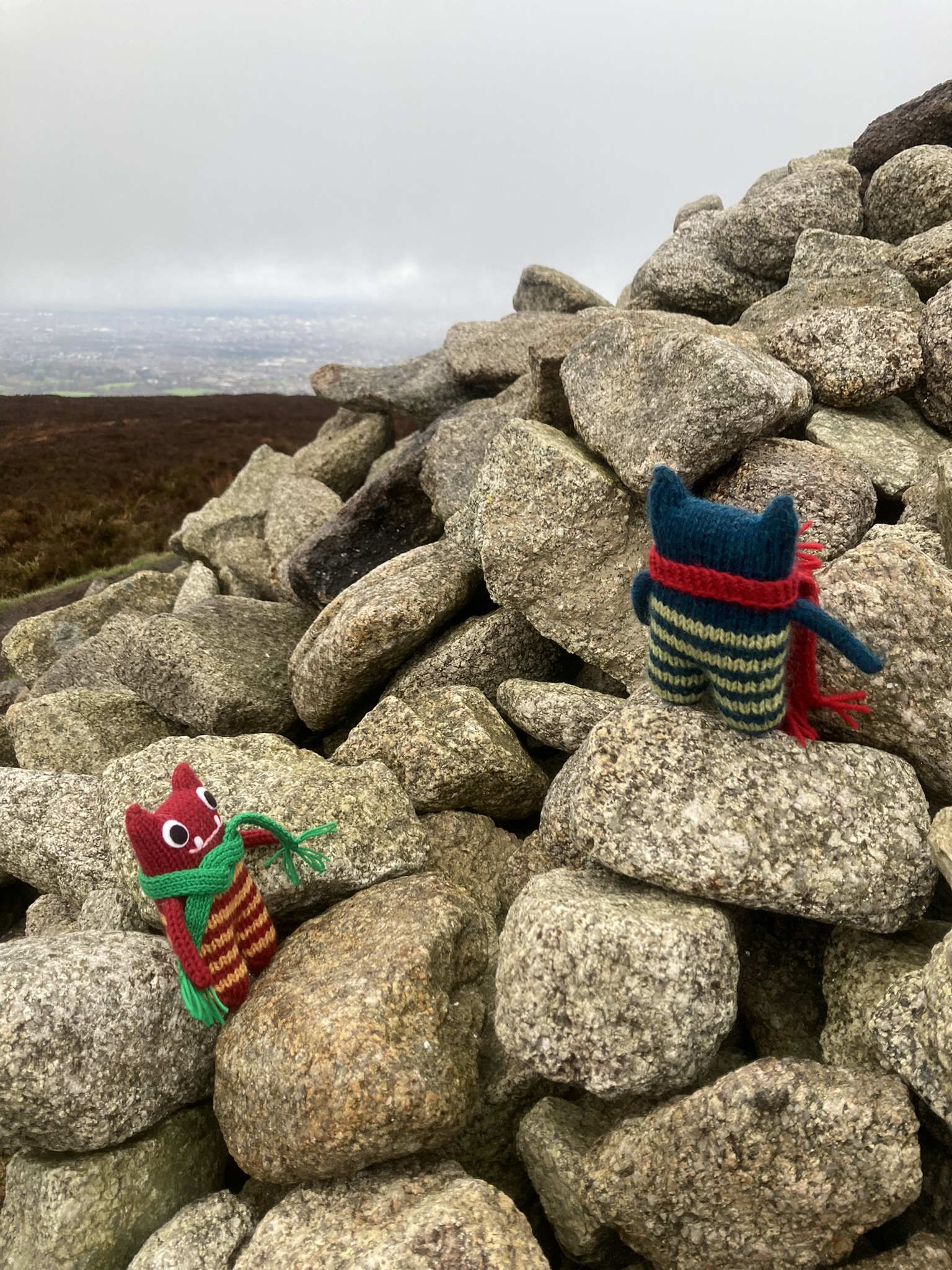 Catching Up With Felix – Beastie HQ